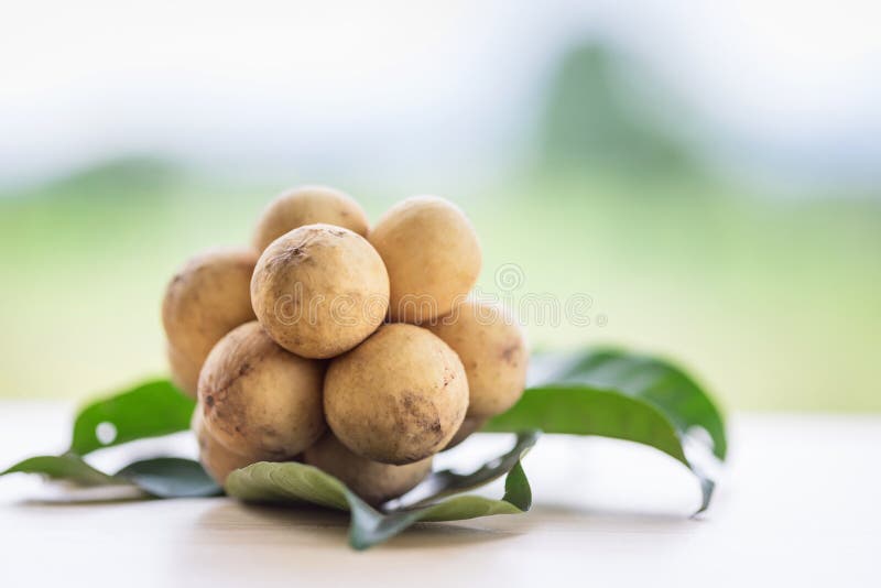 Langsat with Green Leave on Wood Table Stock Photo - Image of asian ...