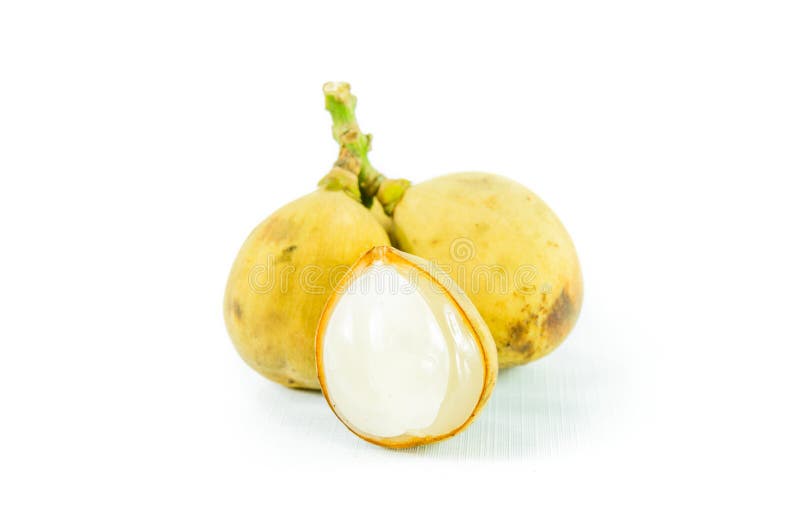 Langsat stock photo. Image of fresh, color, green, bright - 50698500