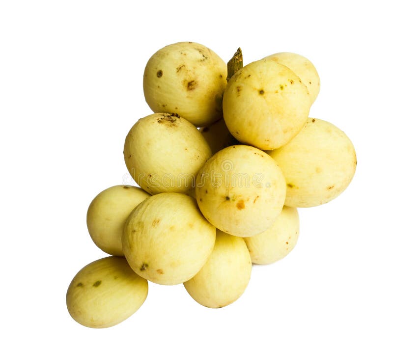Langsat Lansium Domesticum Isolated Stock Photo - Image of yellow ...
