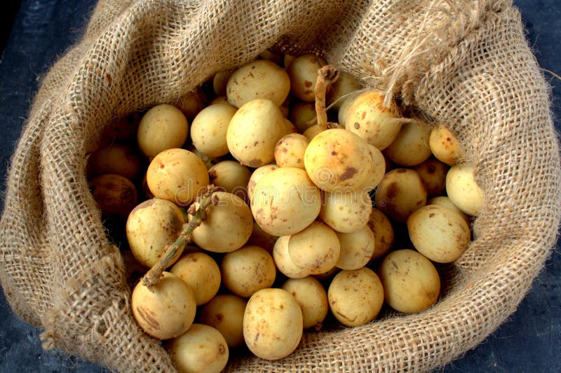 Langsat - tropical fruit stock image. Image of dessert - 61674443