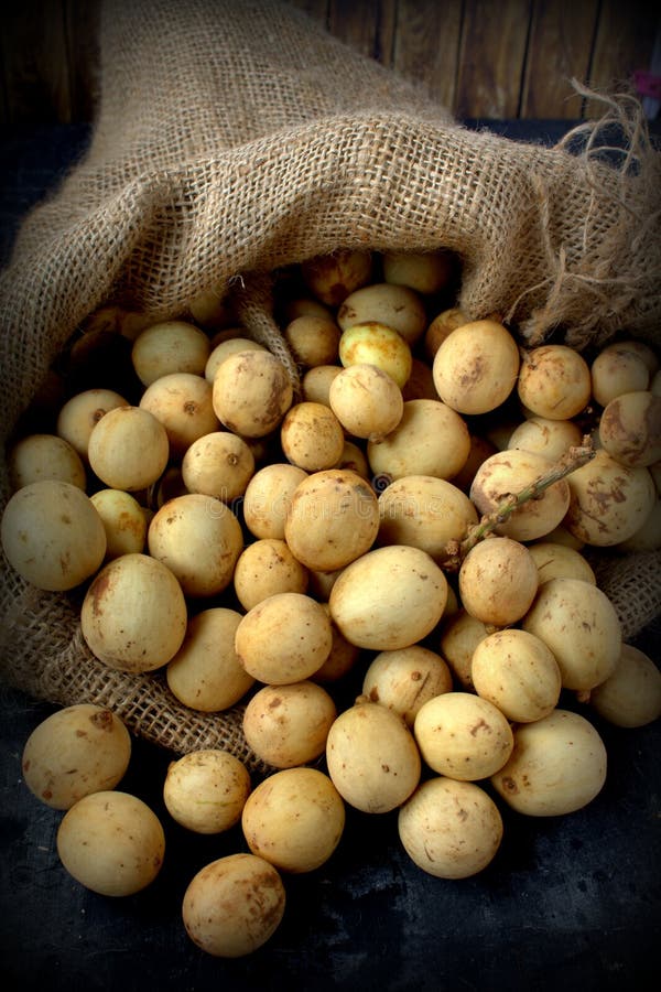 Langsat - tropical fruit stock photo. Image of leaves - 61674534