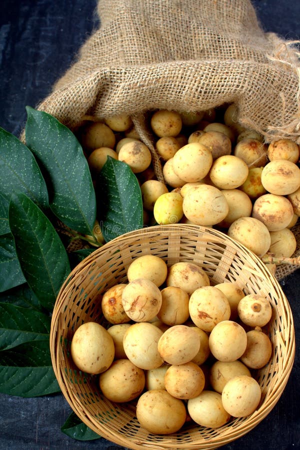 Langsat - tropical fruit stock photo. Image of longan - 61675260