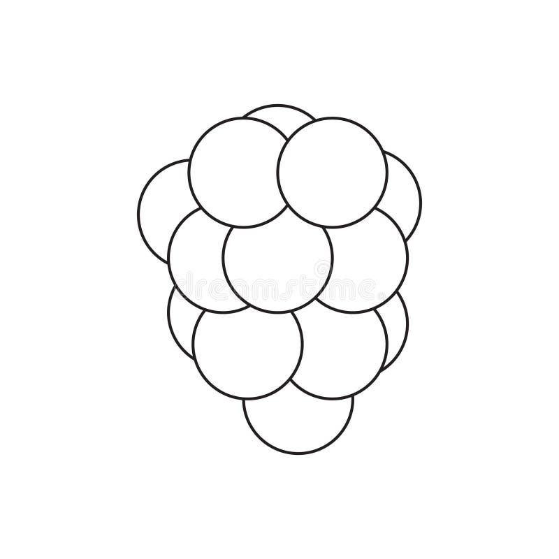 Langsat. Vector Illustration Decorative Design Stock Vector ...