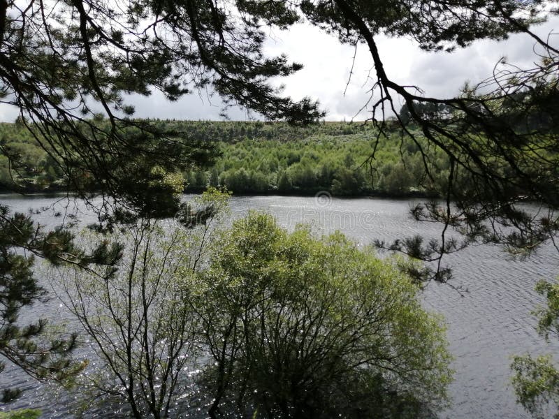 Langsett Reservoir Scenery stock photo. Image of forest - 182342276