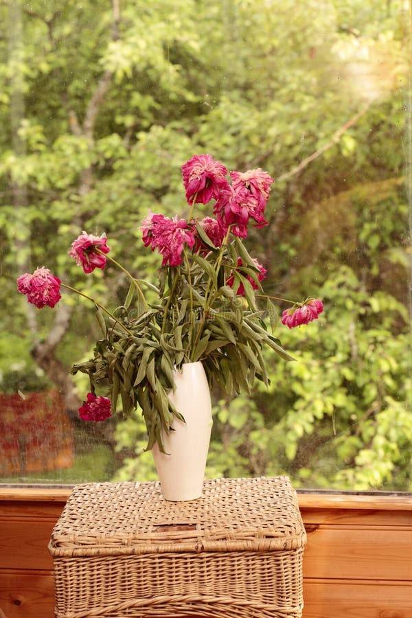 Languid stock photo. Image of flowers, nature, garden - 14834356