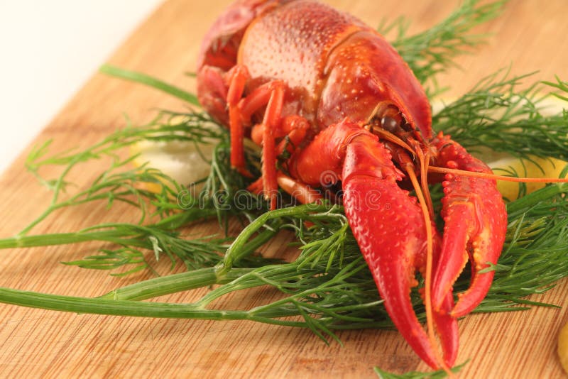 Languster arkivfoto. Bild av lunch, hummer, räka, kokt - 57014072