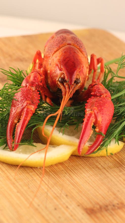 Languster arkivfoto. Bild av lunch, hummer, räka, kokt - 57014072