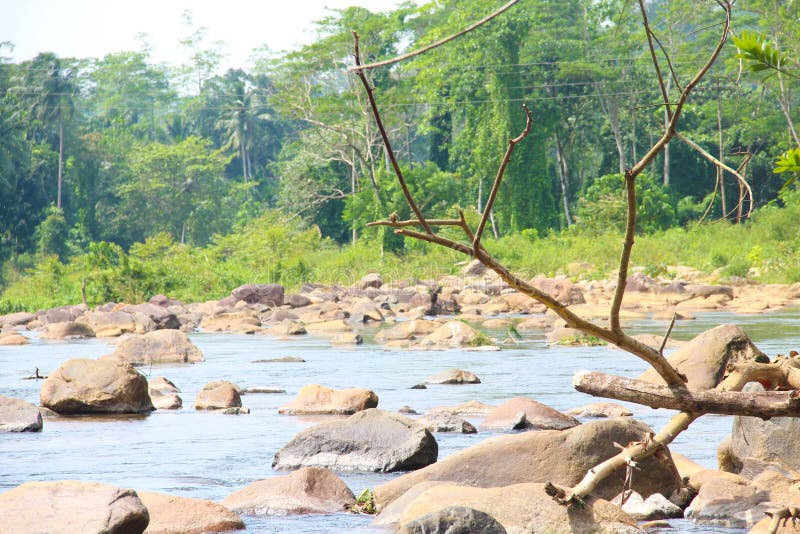 Lankagama water falls stock image. Image of waterfalls - 159629701