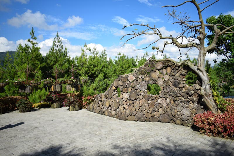 Lanscape and Beauty Tree in the Park Stock Photo - Image of flower ...