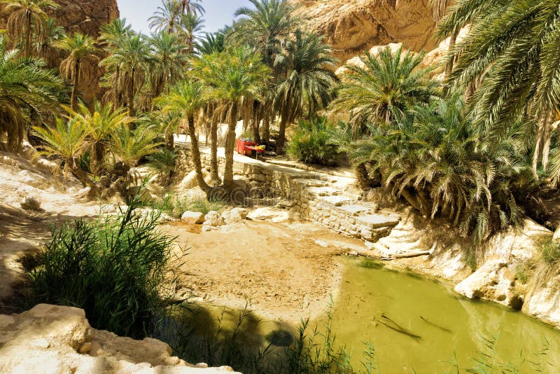 Oasis in tunisia stock image. Image of rock, journey - 56866665