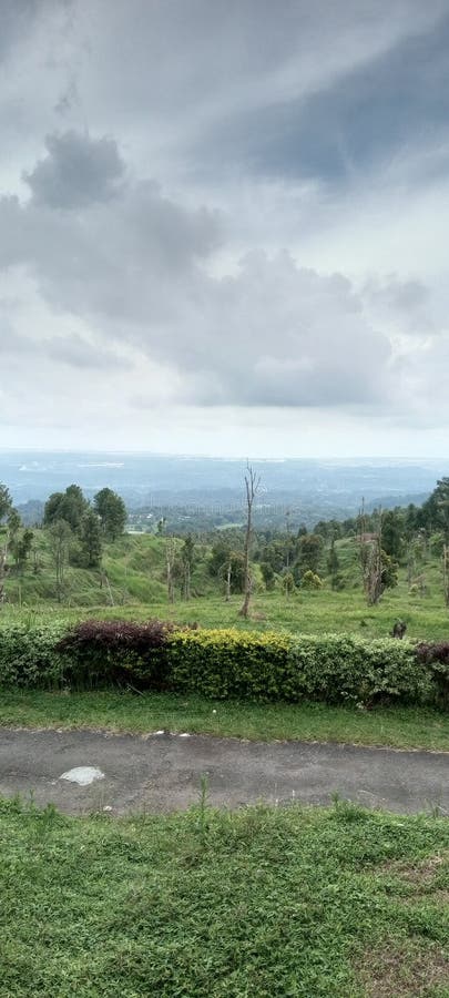 Lanscape of Green Grass in the Village Stock Photo - Image of village ...