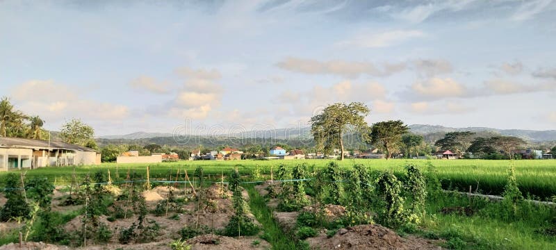 Lanscape natural view stock photo. Image of lanscape - 300717590