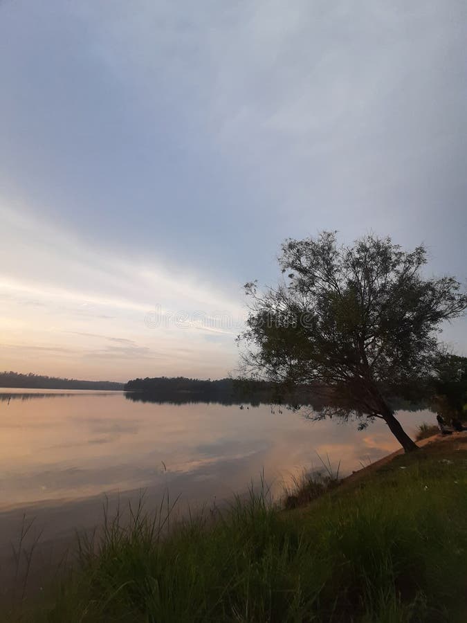 Lanscape Forests Water Tree Sans Stock Photo - Image of forests, water ...