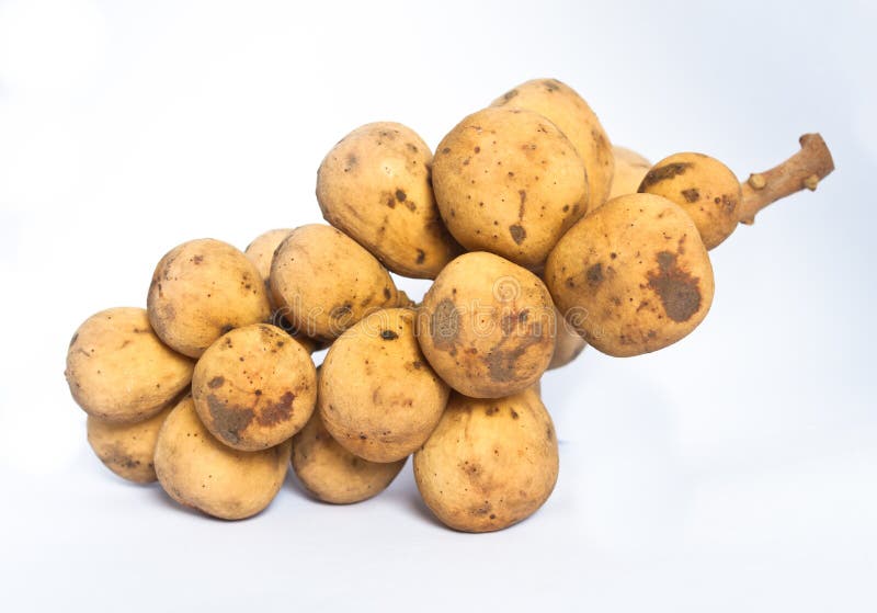 Lansium domesticum stock image. Image of eating, culture - 24979901