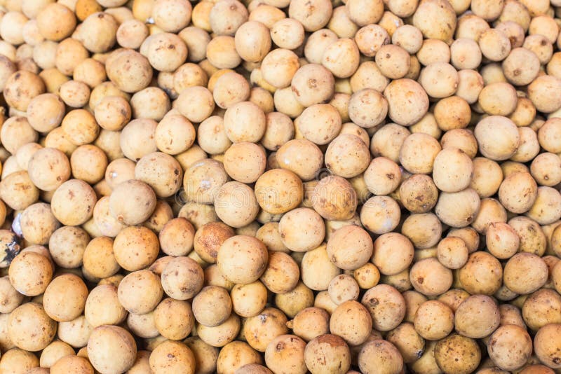 Lansium domesticum stock photo. Image of langsep, langsat - 43372480