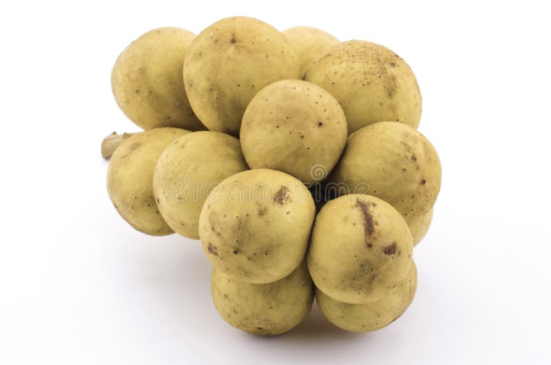 416 Domesticum Isolated Stock Photos - Free & Royalty-Free Stock Photos ...