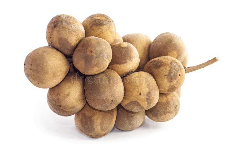 Lansium Domesticum Isolated on White : Clipping Path Included. Stock ...