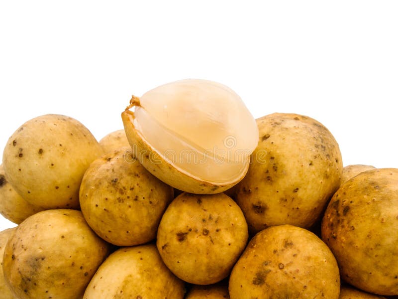 Lansium Parasiticum or Langsat Tropical Fruit Stock Image - Image of ...