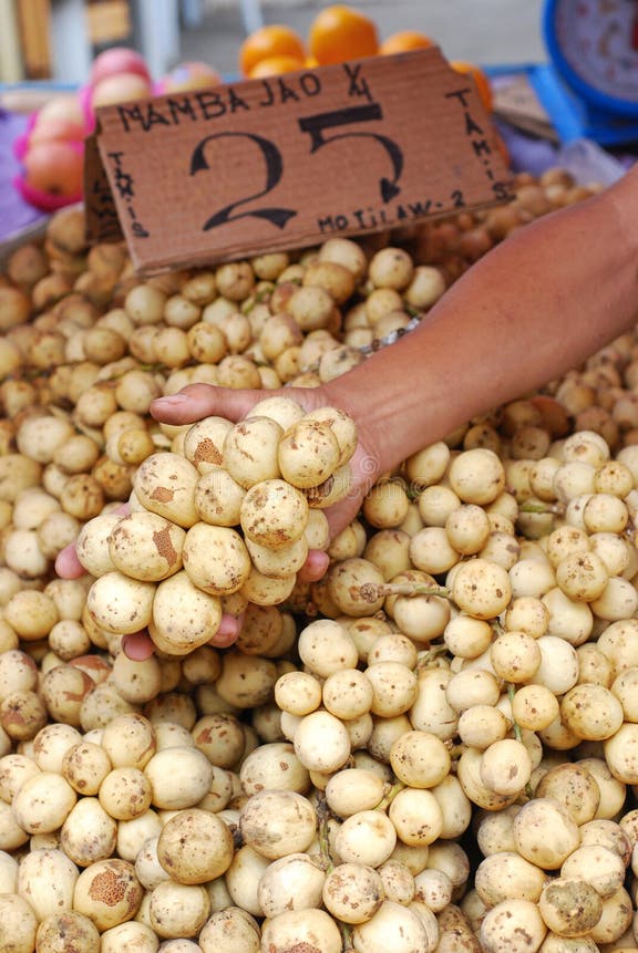 Lansones fruit in market stock photo. Image of sale, food - 20062748