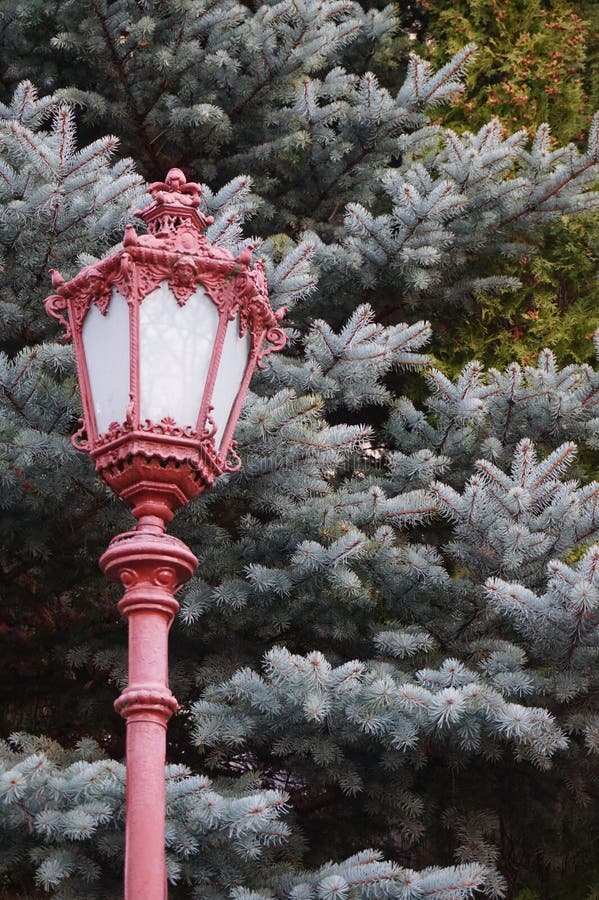 Lantern stock photo. Image of abstract, green, evergreen - 66580226