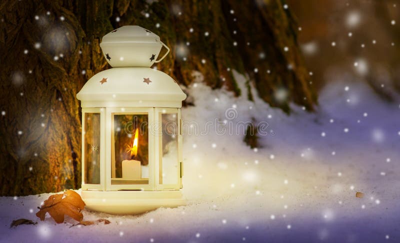 Lantern with a Candle in a Winter Forest Under a Tree at Night during ...