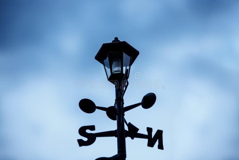 Cardinal turned stock photo. Image of turned, wildlife - 66001596