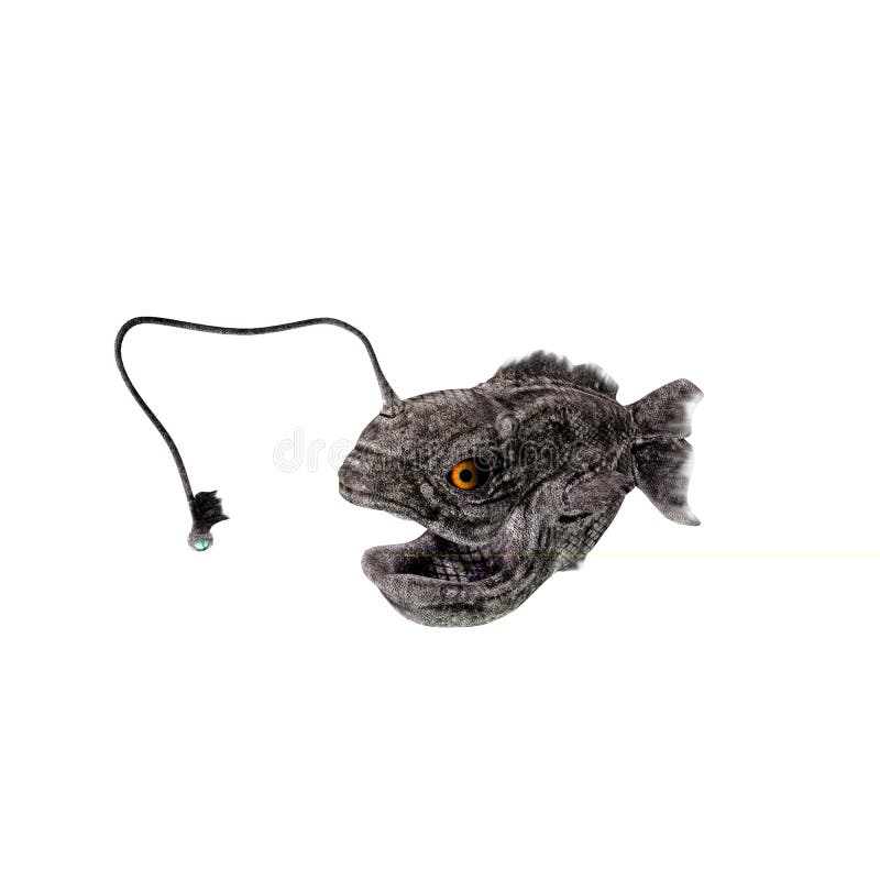 Angler Fish or Monkfish with Lantern on the Textured Dark Background ...
