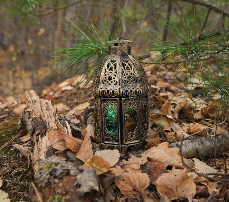 Lantern with Magic Light in the Forest Stock Photo - Image of calm ...
