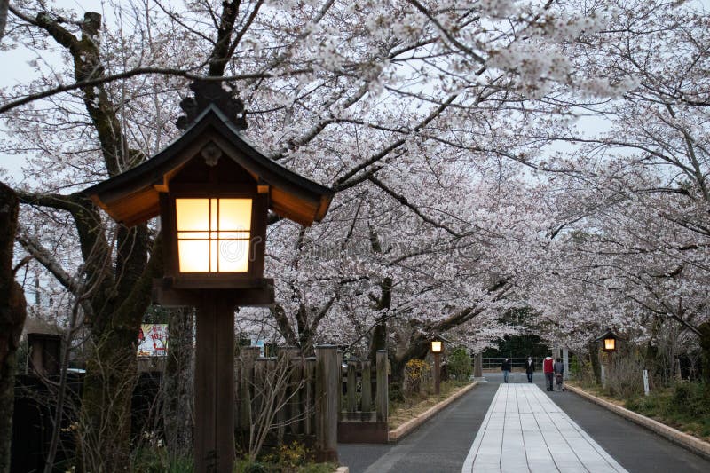 764 Traditional Japanese Lantern Lights Stock Photos - Free & Royalty ...
