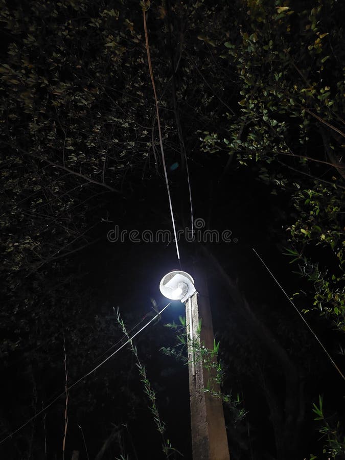 Lantern on the tree stock image. Image of green, reflection - 261978657