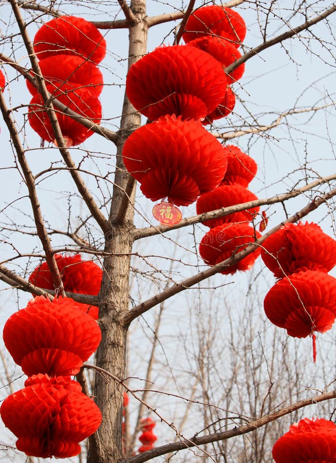 Lanterns Hanging from Tree stock photo. Image of celebration - 50778886