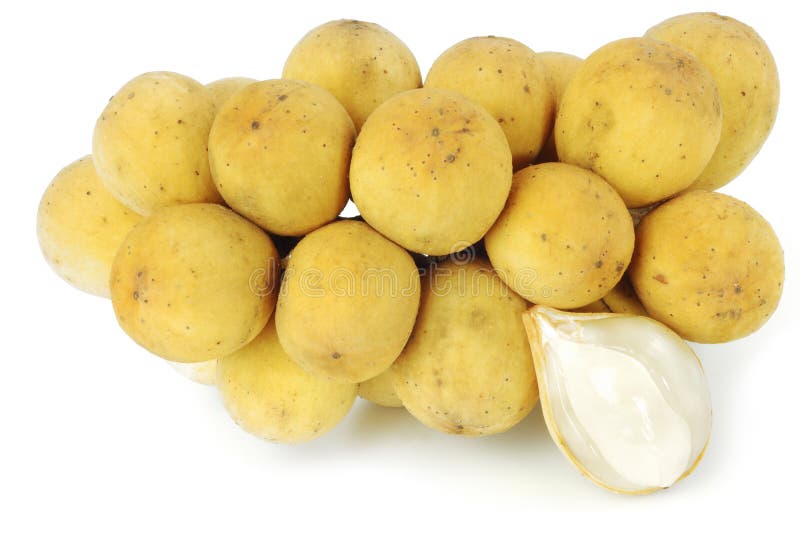 Lanzones stock image. Image of delicious, juicy, asia - 27718661