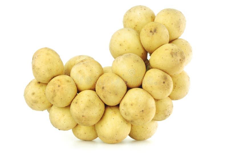 Lanzones stock image. Image of health, color, juicy, longong - 27718669