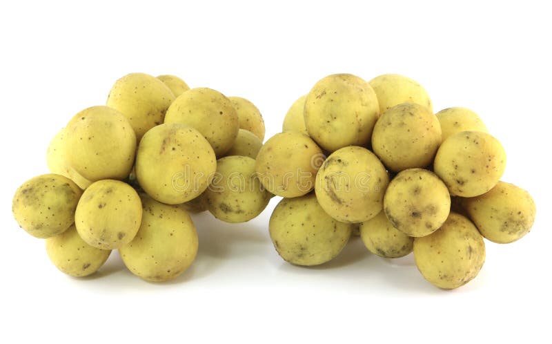 230 Lanzones Fruit Isolated Stock Photos - Free & Royalty-Free Stock ...