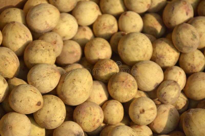 630 Lanzones Stock Photos - Free & Royalty-Free Stock Photos from ...