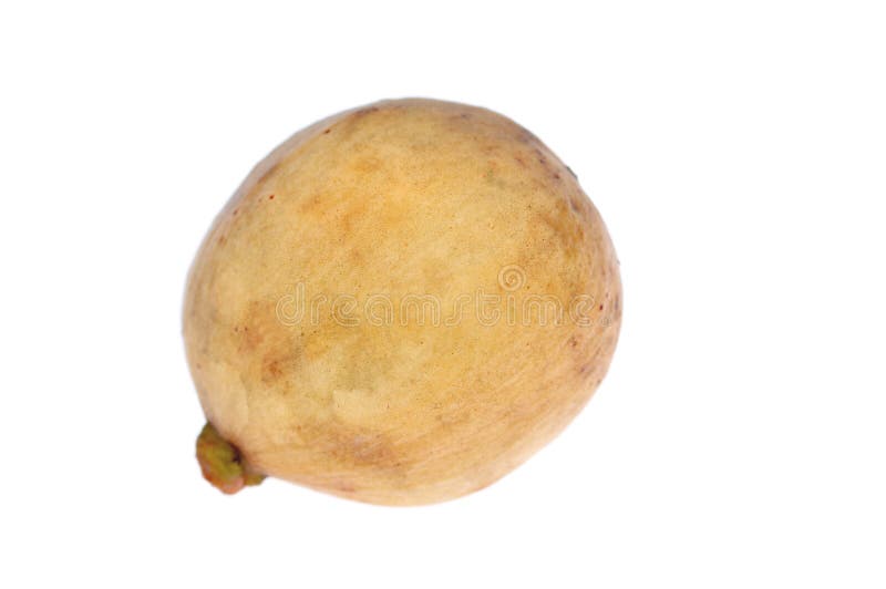 Lanzones fruit isolated stock image. Image of domesticum - 25369025