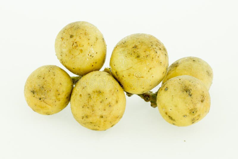 Closeup of Lansones or Lanzones Fruit AKA Langsat or Lansium Domesticum ...