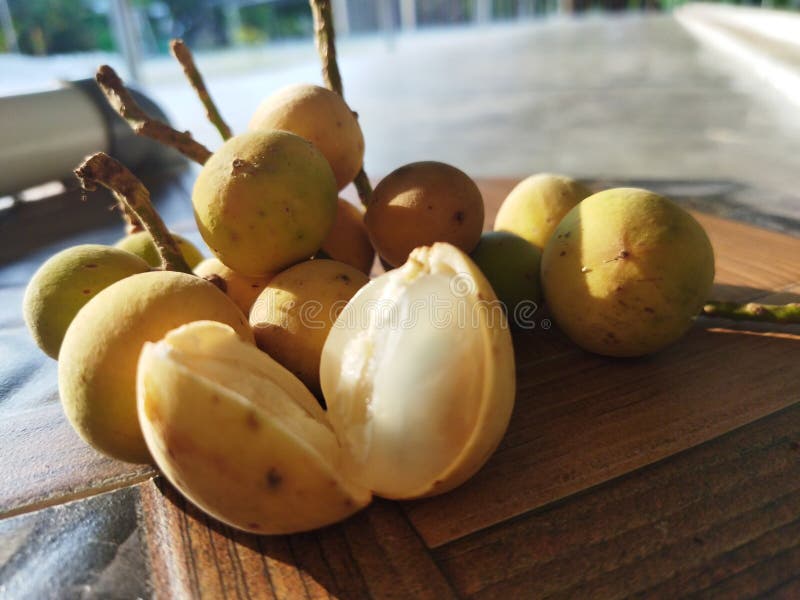 694 Duku Langsat Fruit Stock Photos - Free & Royalty-Free Stock Photos ...