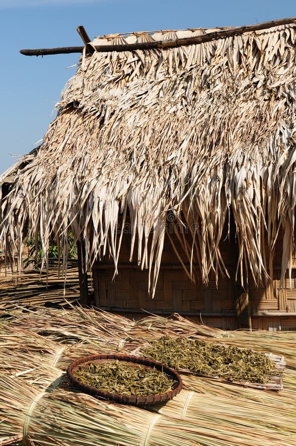 Lao, Muang Sing - Rural Scene Stock Photo - Image of exotic, culture ...
