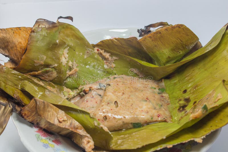 Lap- pla fish spicy stock photo. Image of sweet, pork - 48093444