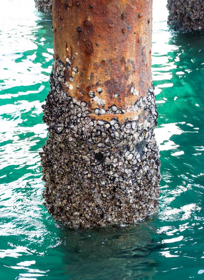 Lapa de roca foto de archivo. Imagen de puente, cubo - 53908044