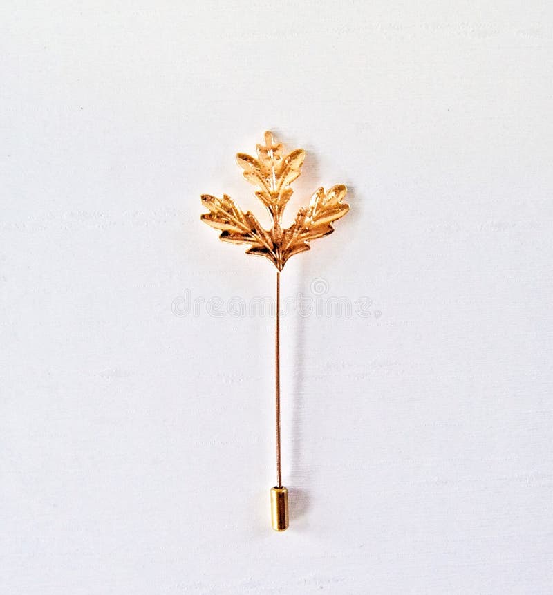 Lapel Pin stock photo. Image of leaf, gold, lapel, brooch - 105505046