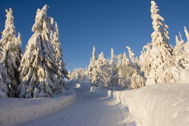 Lapland winter wonderland stock image. Image of piste - 4208155