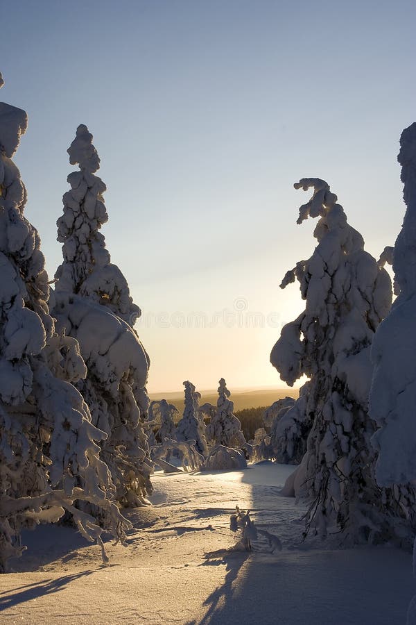 11+ Lapland winter wonderland Free Stock Photos - StockFreeImages