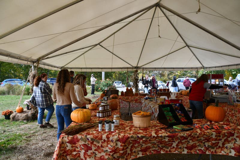 Lapsley Orchard in Pomfret, Connecticut Editorial Photography - Image ...