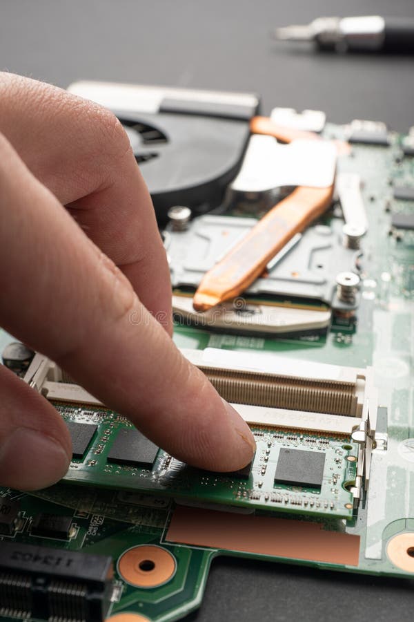 Laptop Board Service. RAM Installation Stock Image - Image of circuit ...