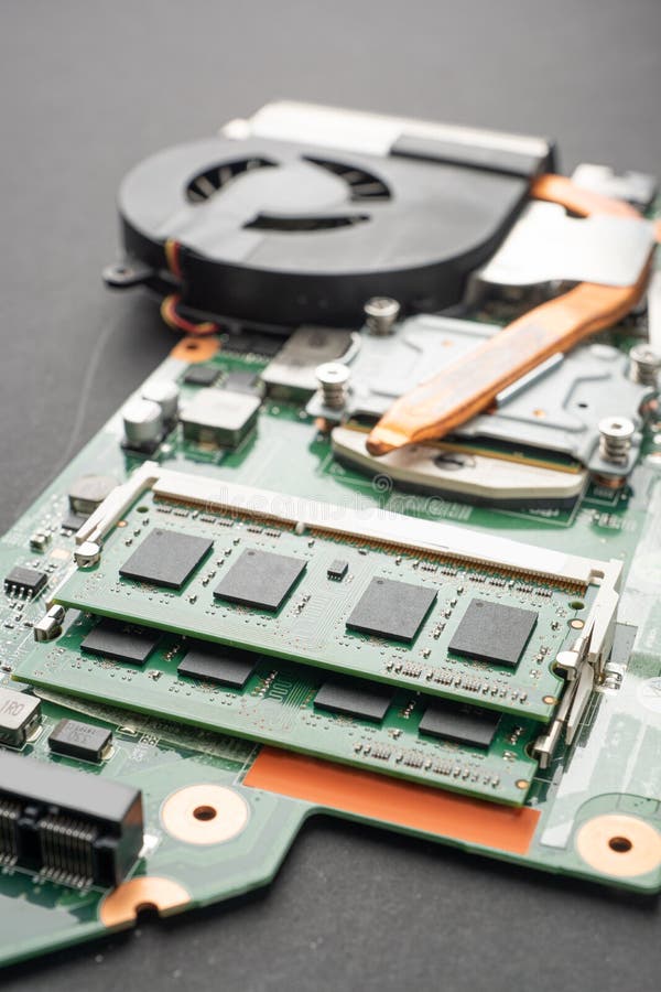Laptop Board Service. RAM Installation Stock Image - Image of component ...