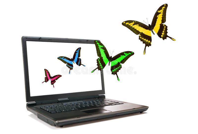 Laptop and butterflies stock photo. Image of bright, conservation - 6599154