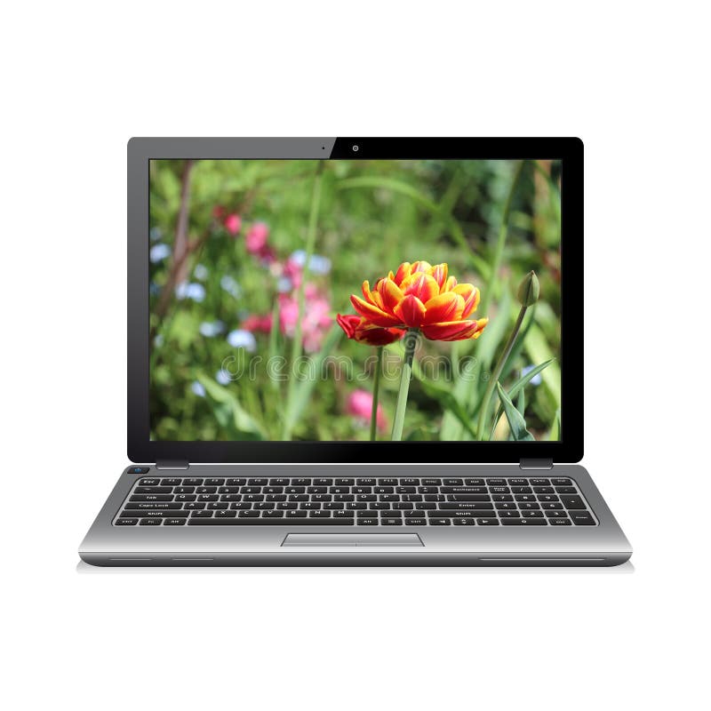 Laptop Computer with Flowers on Screen Stock Image - Image of blossom ...