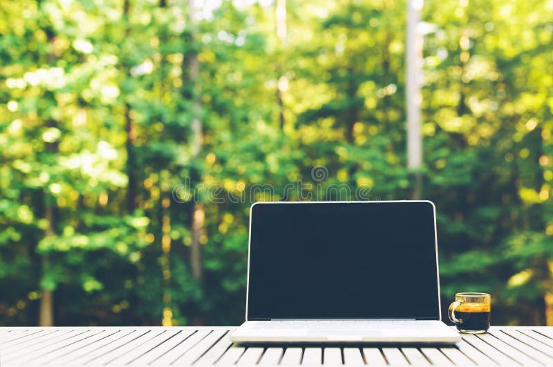 18,971 Computer Forest Stock Photos - Free & Royalty-Free Stock Photos ...